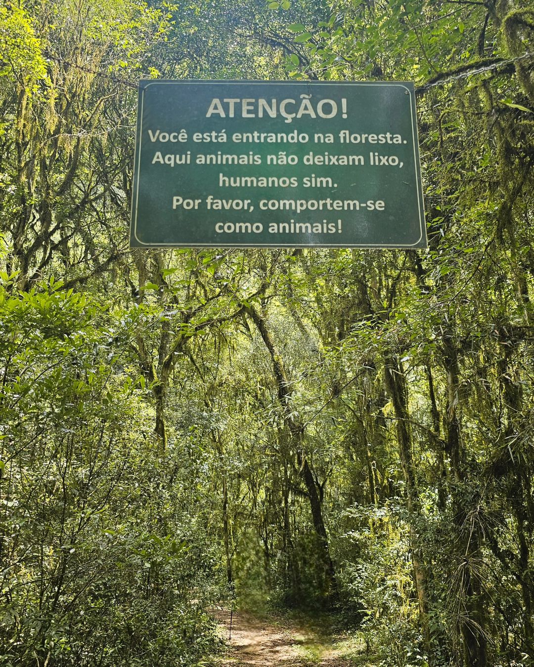 Perau de Janeiro: Saiba Tudo Antes de Visitar em 2026 😍