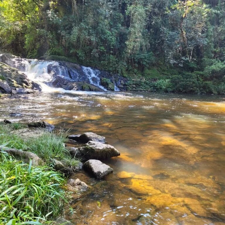 Cachoeira do Sagui: Onde Fica, Valor e Como Chegar [Guia 2026]